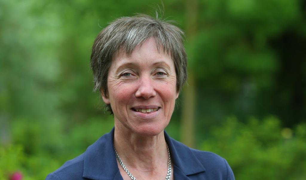 Der erste Schnitt: Ab wann sollte man im Frühjahr zum Rasenmäher greifen?